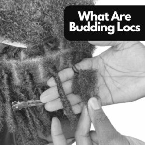 Budding Locs: Everything You Need To Know!