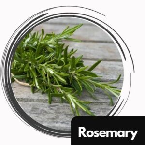 6 Ways On How To Treat Dandruff On Dreadlocks [2023]