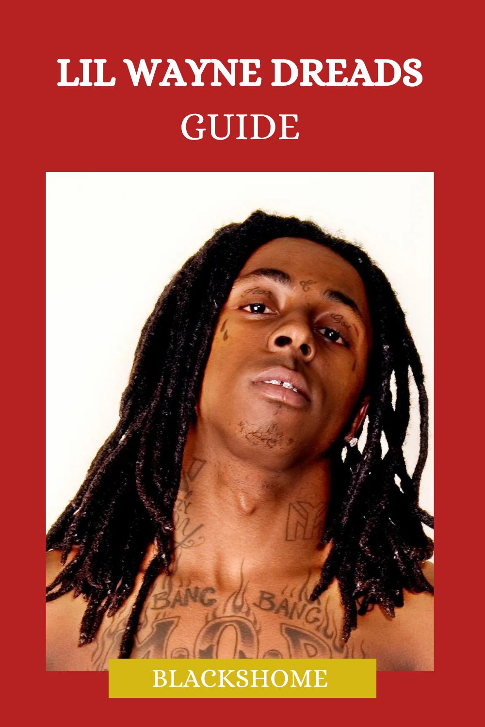 Lil Wayne Dreads: Its Evolution And How-to Get Same Dreadlocks ...
