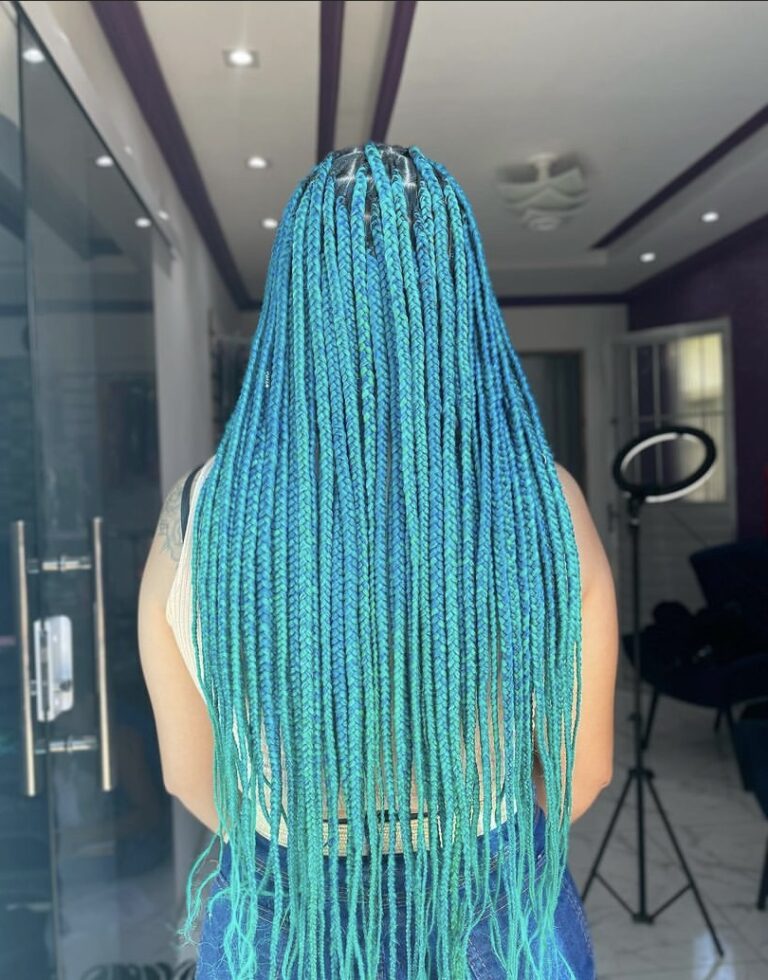 50 Stunning Knotless Braids With Color [2023]