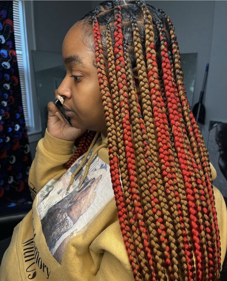 50 Stunning Knotless Braids With Color [2023]