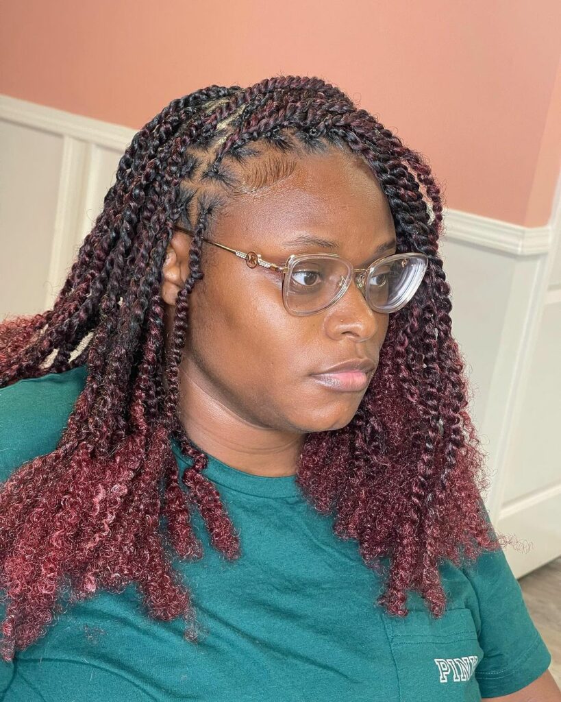 30 Fine Twists That Shine: Skinny 2 Strand Twist Styles