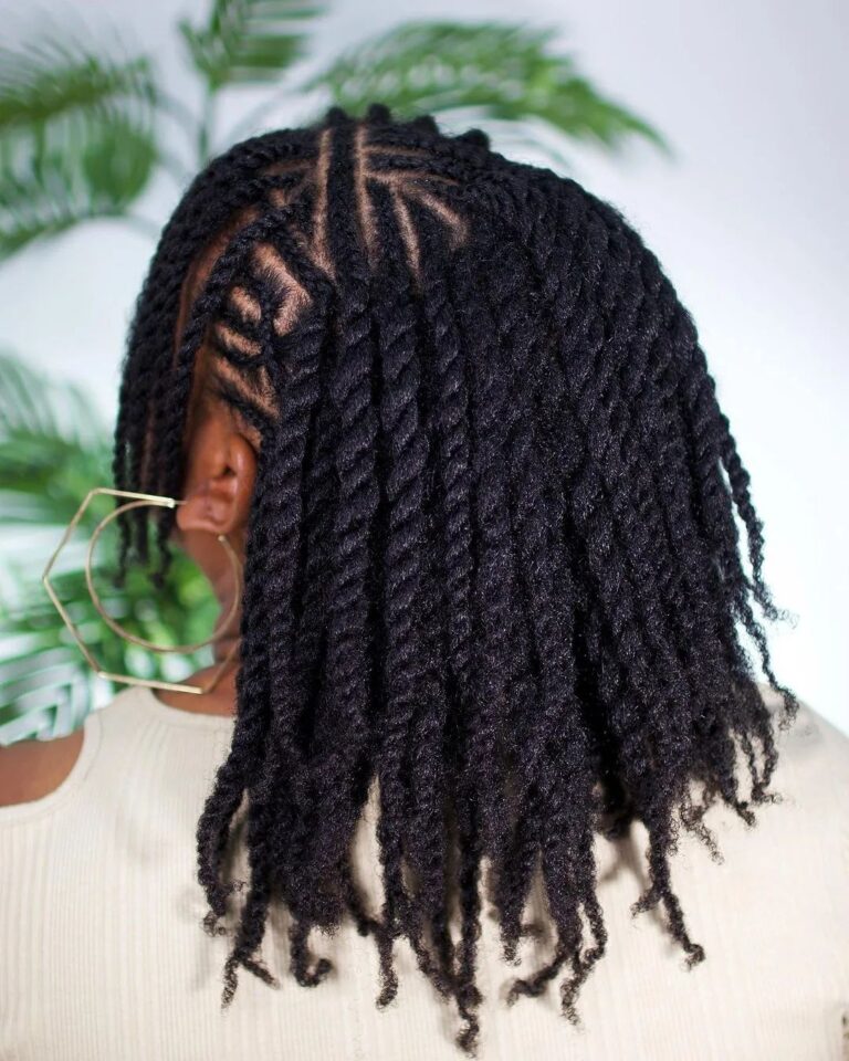 2 Strand Twist Updo - How To Guide + 30 Styling Ideas [2026]