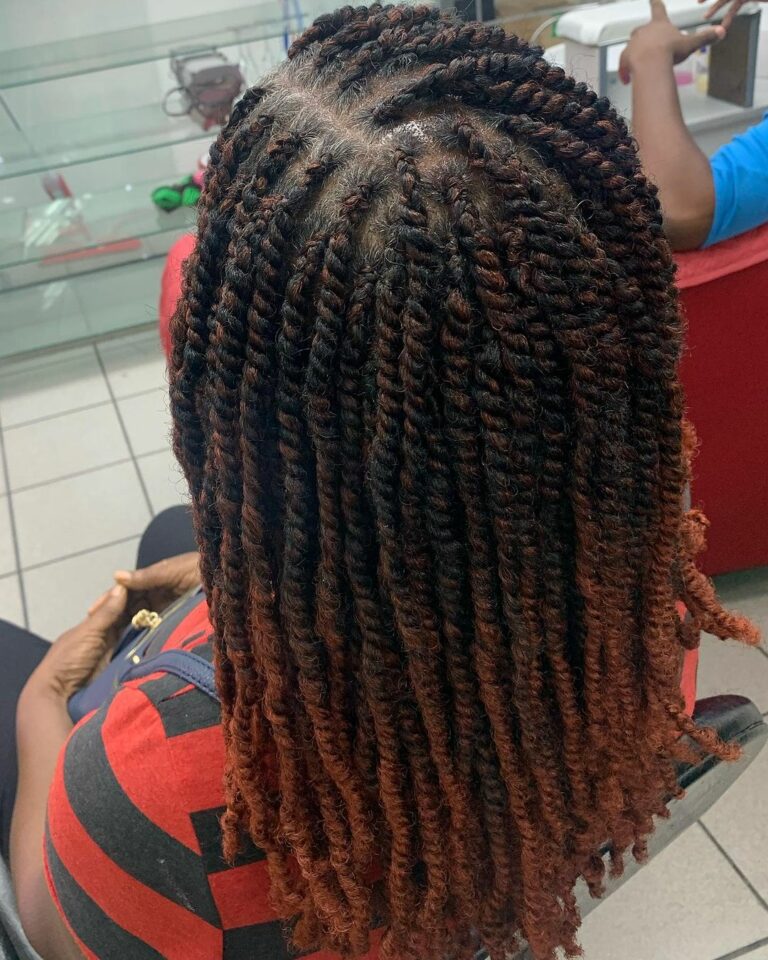 30 Fine Twists That Shine: Skinny 2 Strand Twist Styles