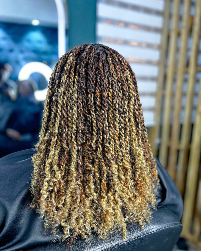 30 Fine Twists That Shine: Skinny 2 Strand Twist Styles