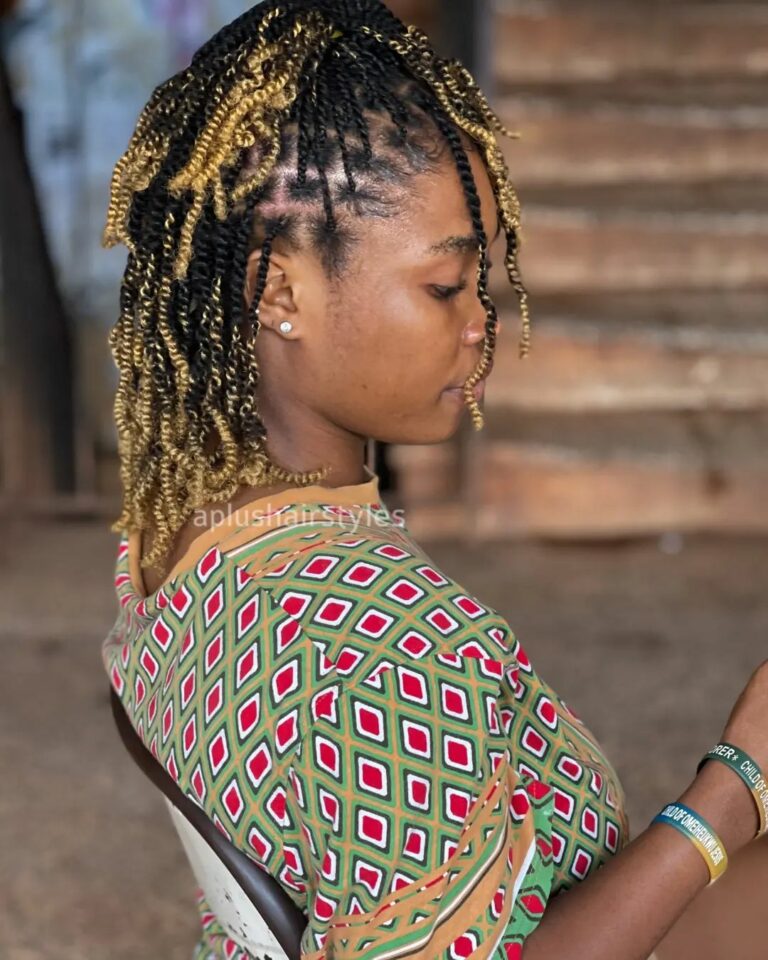 30 Fine Twists That Shine: Skinny 2 Strand Twist Styles