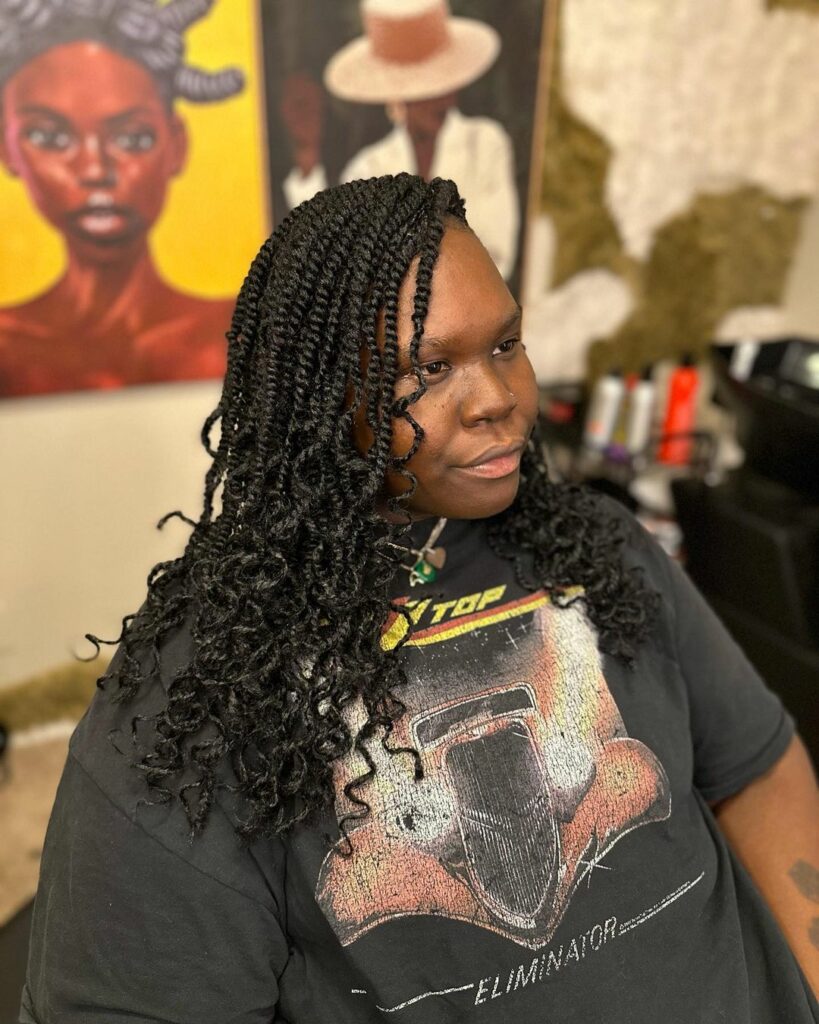 30 Fine Twists That Shine: Skinny 2 Strand Twist Styles