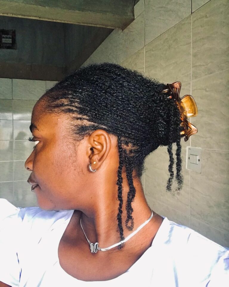 30 Fine Twists That Shine: Skinny 2 Strand Twist Styles