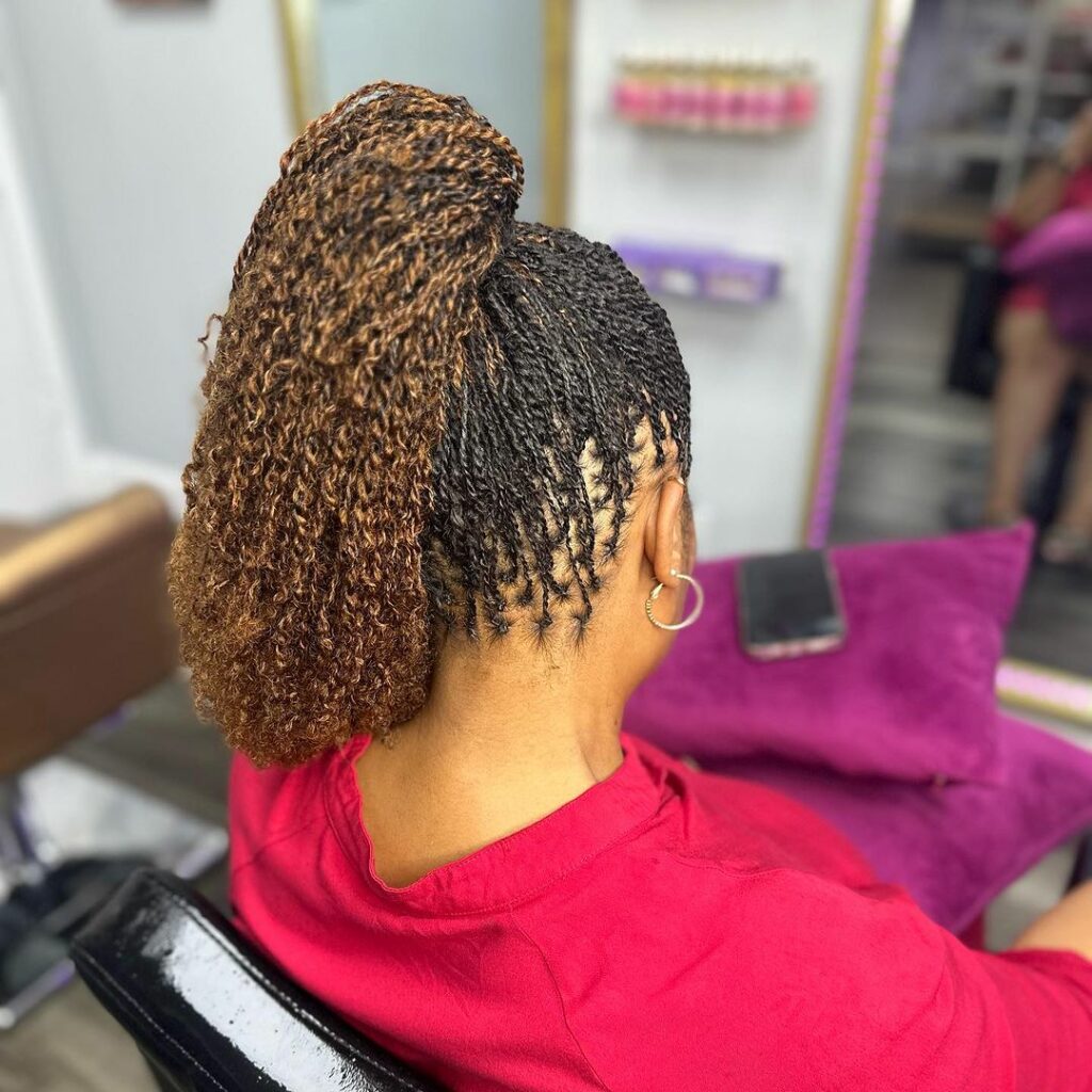 30 Fine Twists That Shine: Skinny 2 Strand Twist Styles